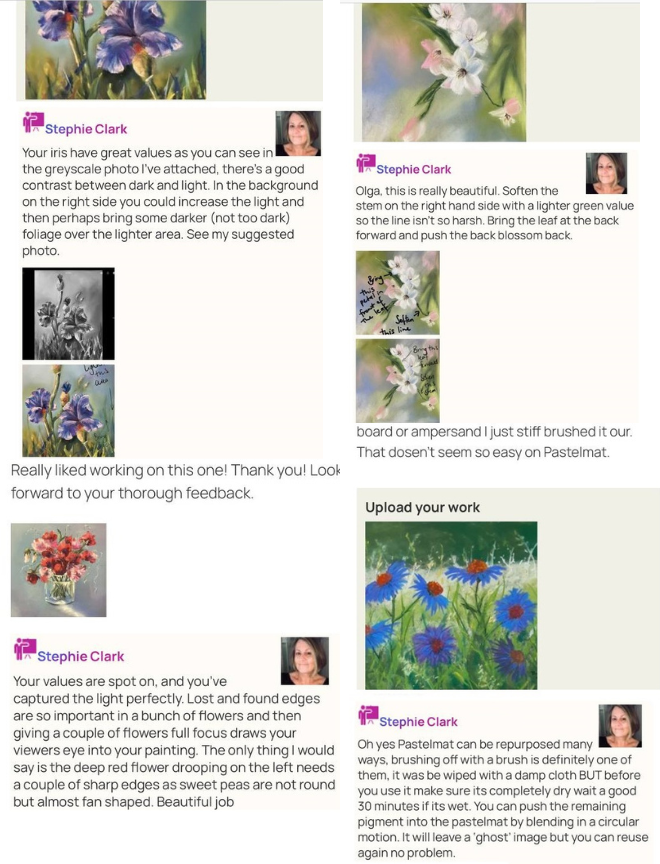 Pastels Program: From Fundamentals to Advanced