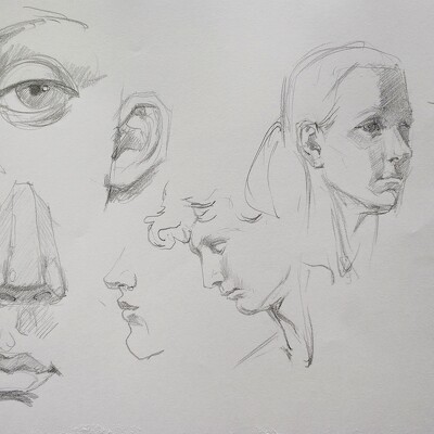 Course "Fundamentals of Drawing"