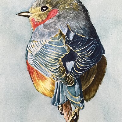 Course "Birds, Textures, and Details with Watercolor"